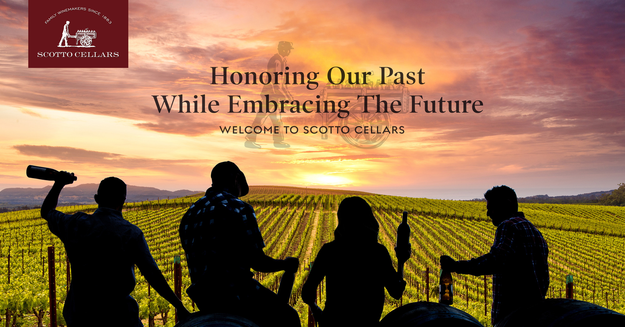 Welcome - Scotto Cellars